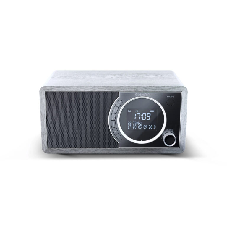 SHARP DIGITAL RADIO GRAY DR450GR | e-papapavlos.gr